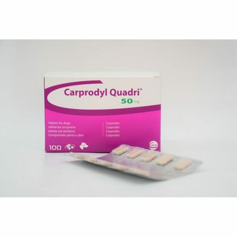 Carprodyl Quadri 50mg 1 box / 100 tablets / | PetShopBoss.com