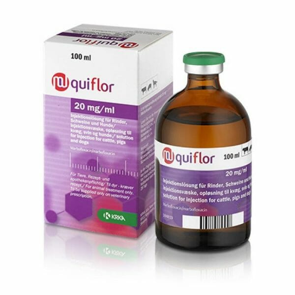Quiflor 20mg/ml Marbofloxacin 100 ml | PetShopBoss.com
